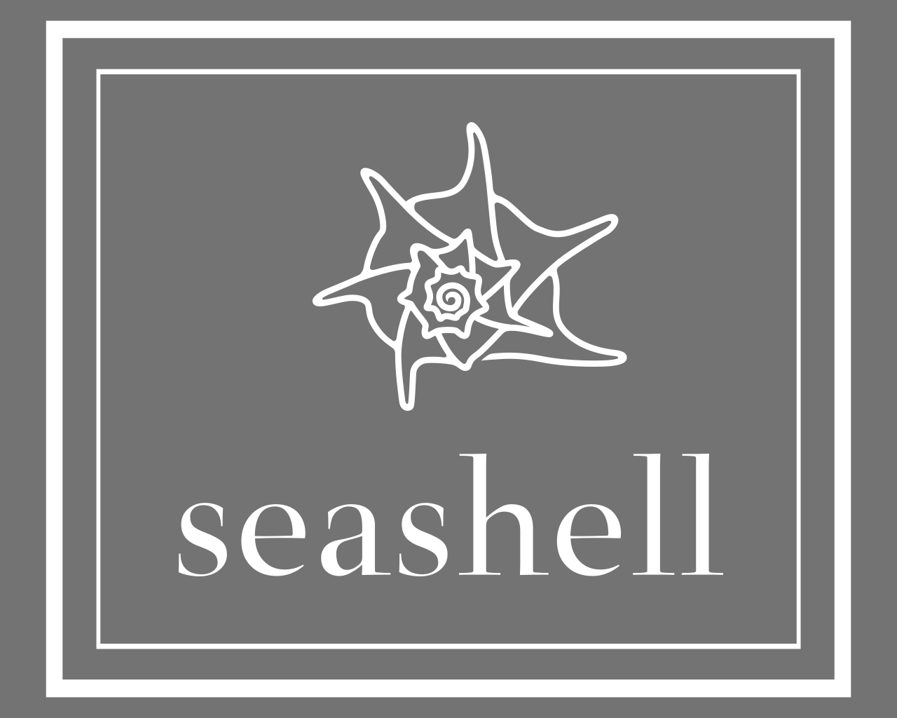 seashell fashion - NAVIGATION2